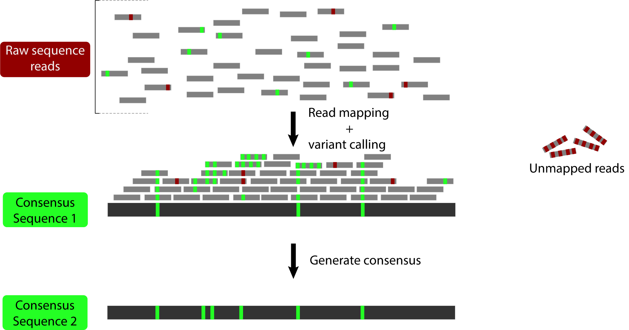 ConGen2022 - Assembly Workshop